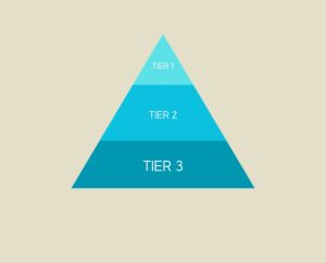 What is a Tier 1 automotive company? – WalterPack